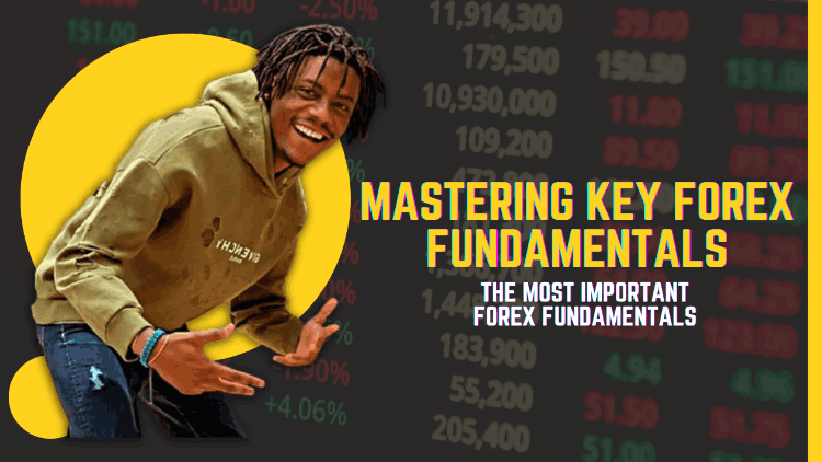 Mastering Key Forex Fundamentals | Trading.live