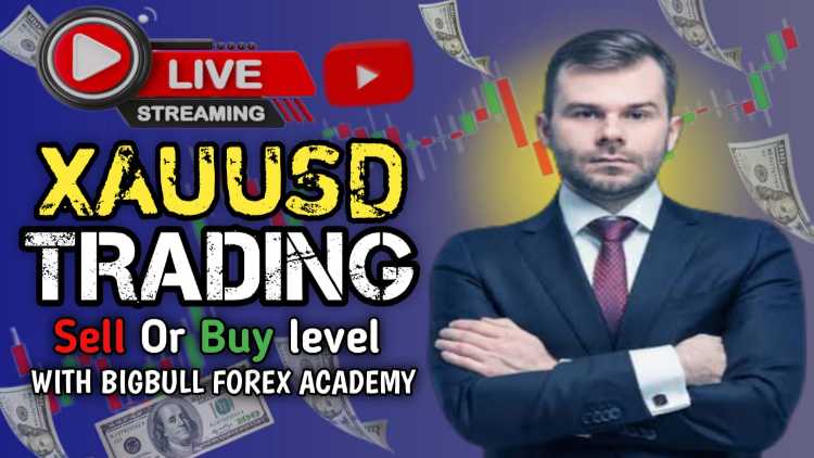 Forex Live Streams, Live Trading Analysis - Trading.live