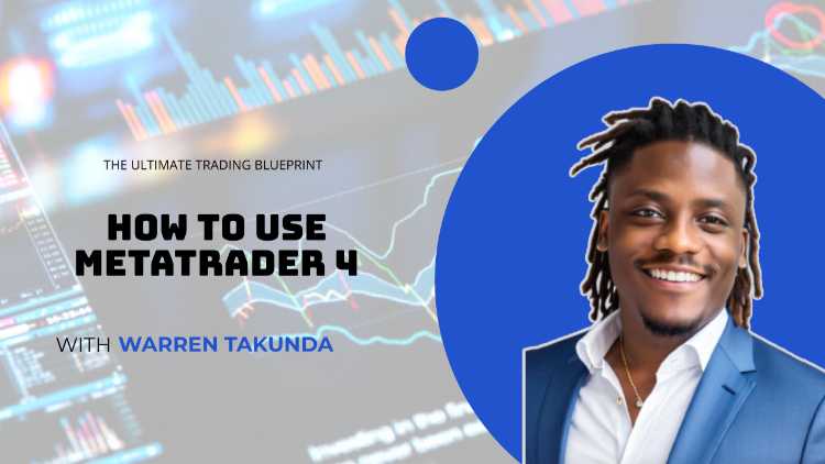 How to Use MetaTrader 4 | Trading.live